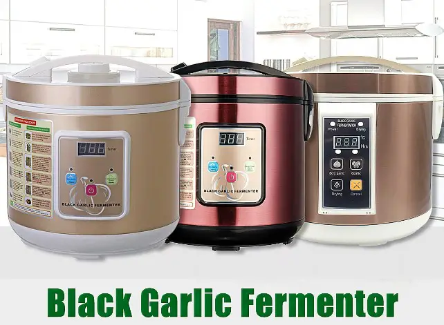 Top 6 The Best Black Garlic Fermenter Machine in 2023 - Fast Food Justice